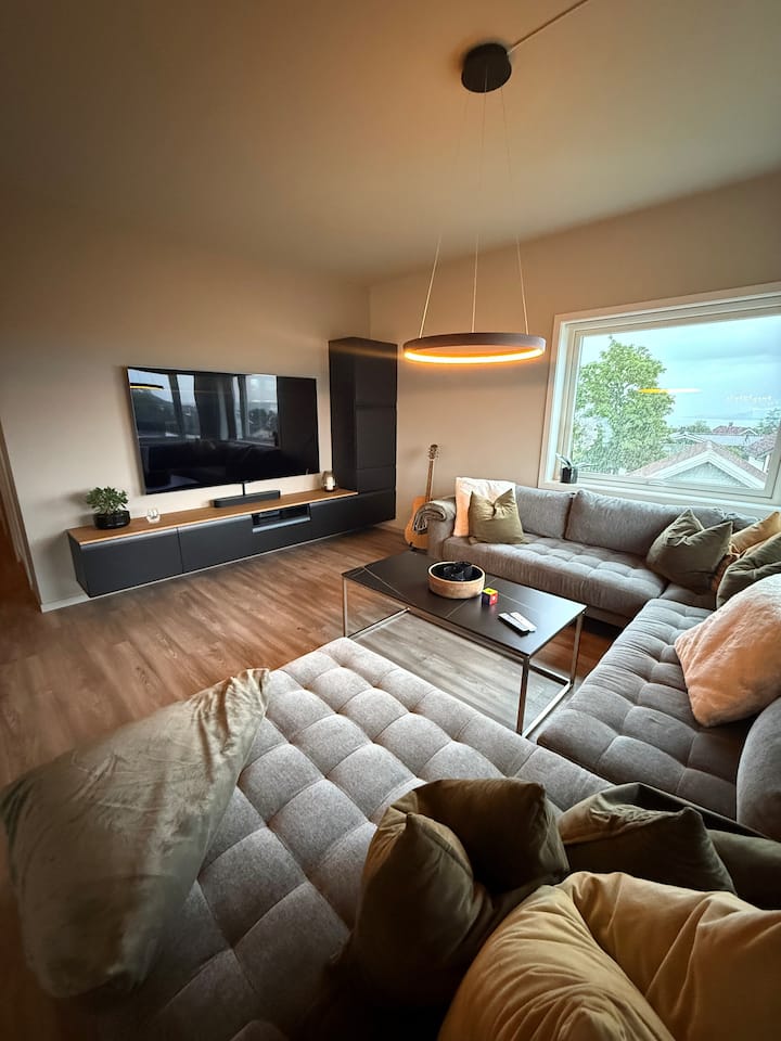 Moderne Leilighet I Hamar - Brumunddal