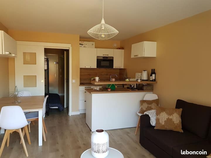 Bel Appartement à Chatel - La Chapelle-d'Abondance