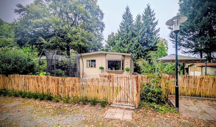 De Veluwse Bosbubbel | In De Natuur Met Comfort - Pays-Bas