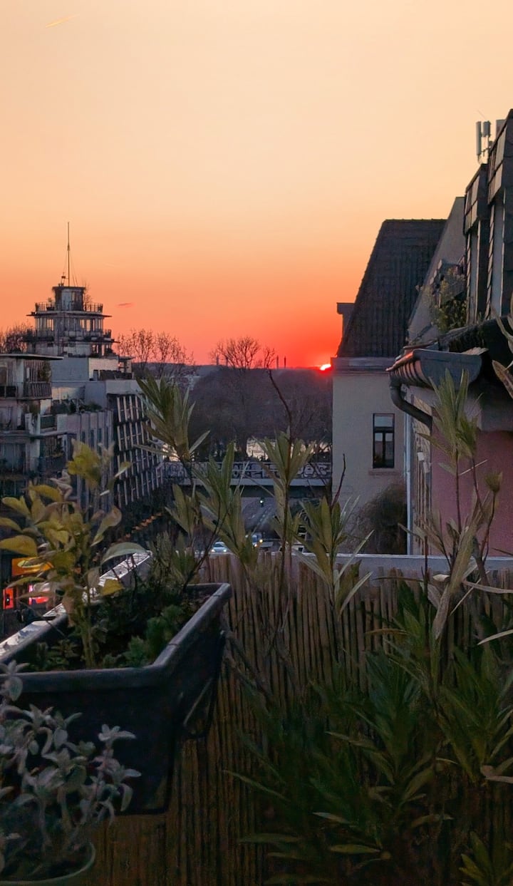 Urban Jungle Im Herzen Kölns - Köln
