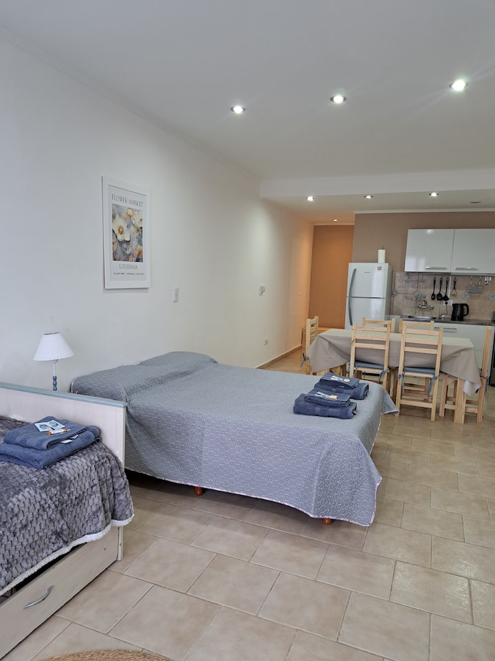 Mono Ambiente Confortable - Centenario