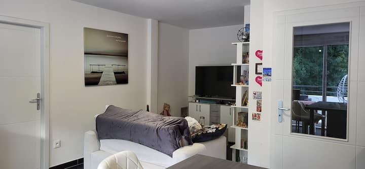 Appartement 3 Pièces Cozy. - EuroAirport Basel-Mulhouse-Freiburg (BSL)