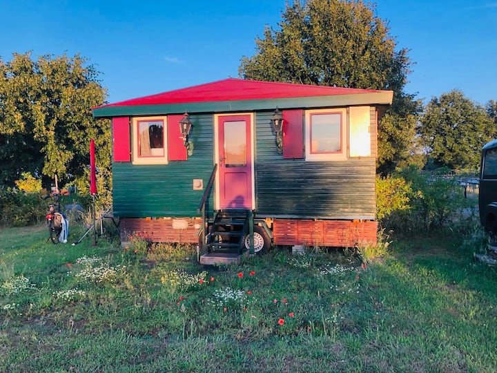 Tiny House Op Rustige Camping - Zutphen