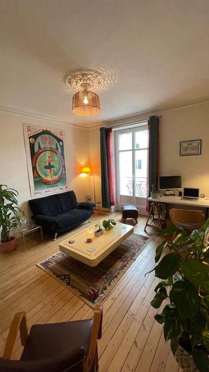 Appartement Lumineux Et Cosy Au Cœur De Nantes. - Nantes