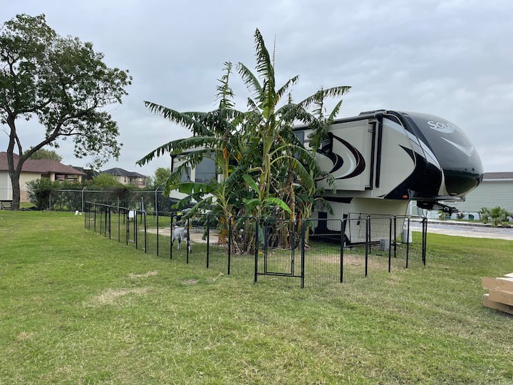 Solitude In South Texas! - Brownsville, TX