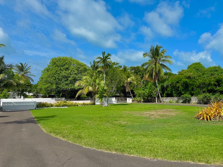 Tropicana #4 - The Bahamas