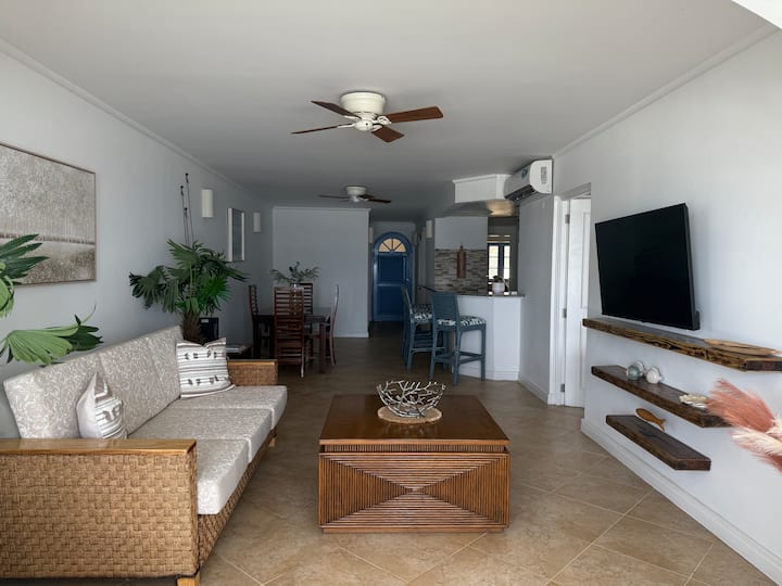 Beautiful Beachfront Condo - Barbados
