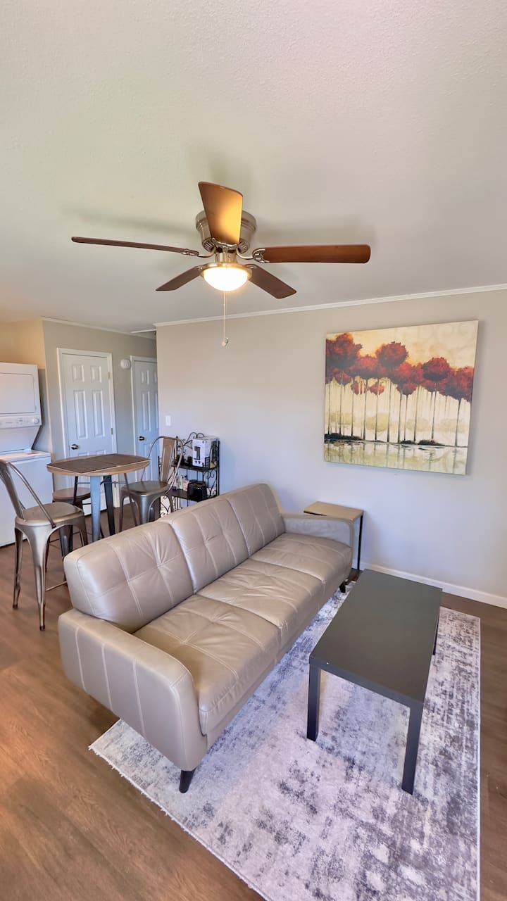 Downtown Apartmentwasherdryer23b - Little Rock, AR