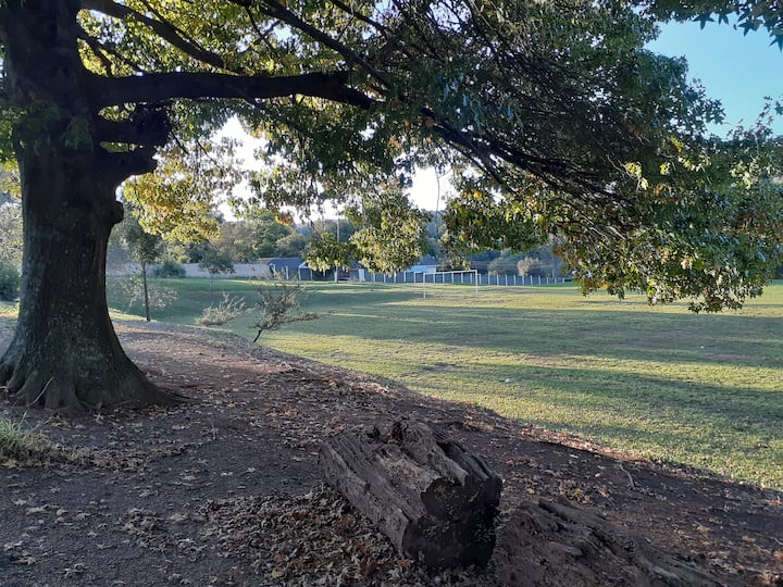 Serendipity-on-symmonds Cottage - Howick