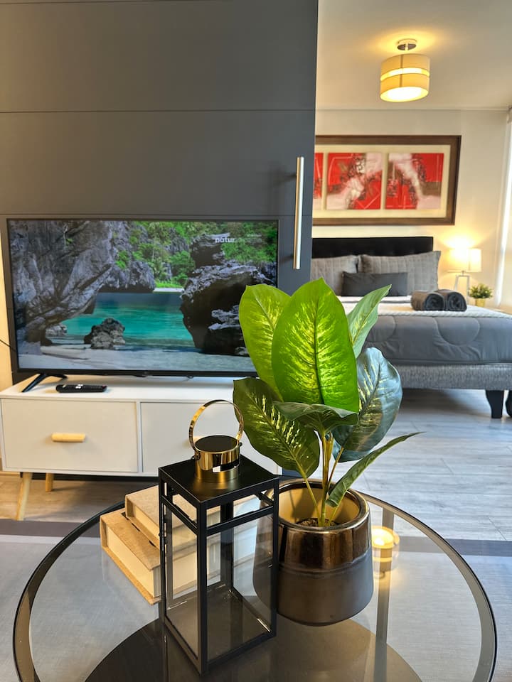 Espectacular Full Equipado
Wifi Aire Ac Piscina - Santiago, Chile