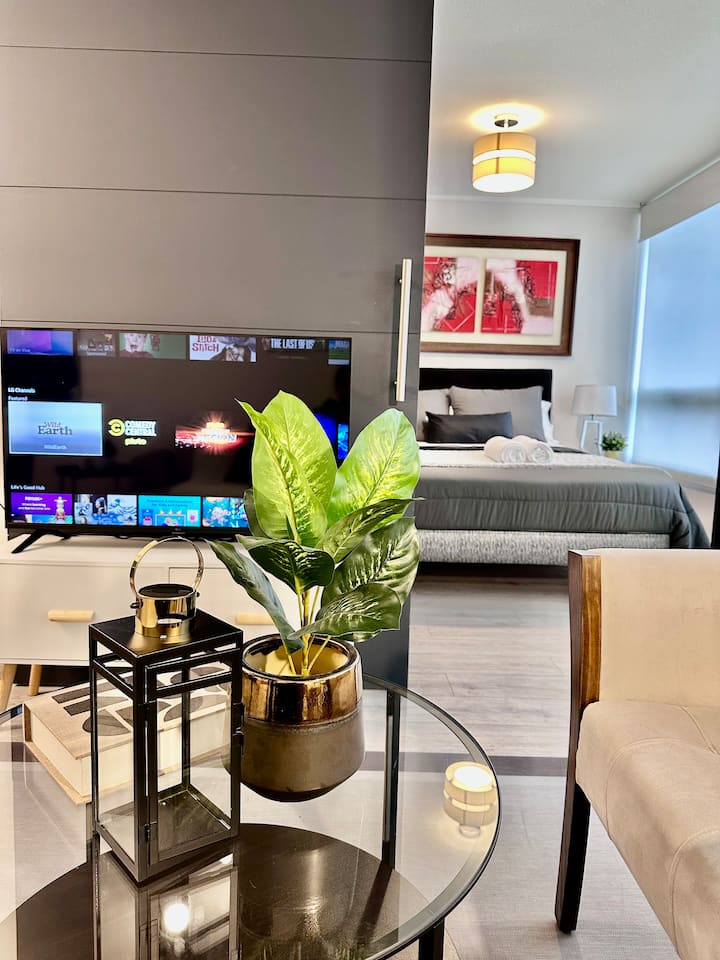 Espectacular| Full Equipado |
Wifi |Aire Ac| Metro - Santiago