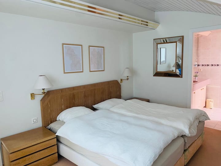 Ouchy, Lausanne, 3 Br Penthause. Parking/lift - Lausanne