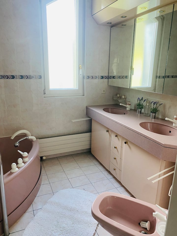 Ouchy, Lausanne, 3 Br Penthause. Parking/lift - Lausanne