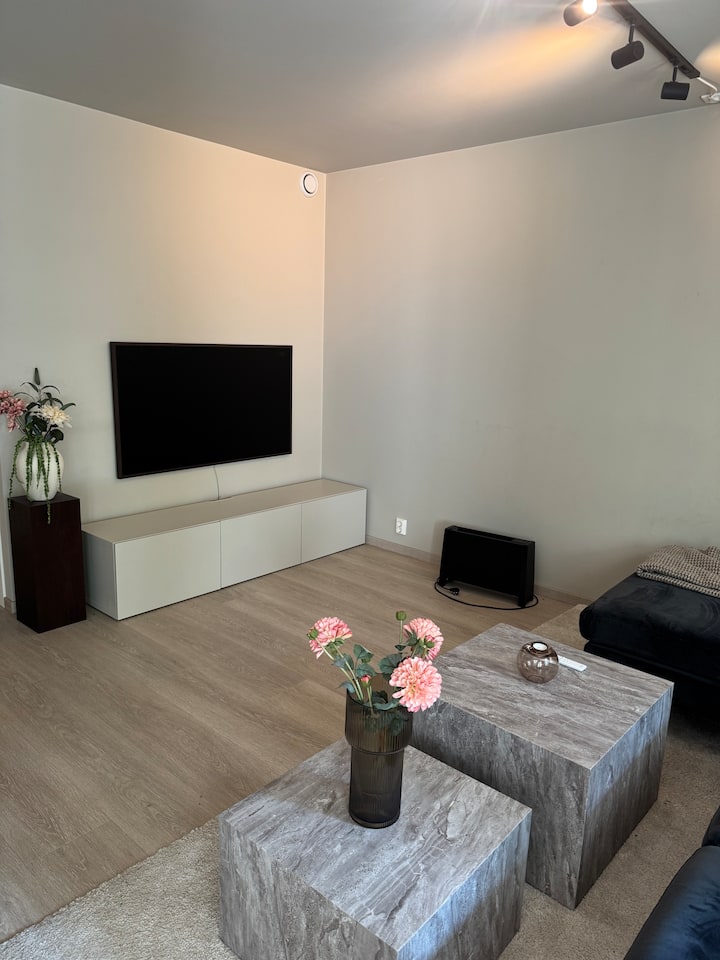 Flott Sentrumsnær Leilighet - Bergen, Noruega