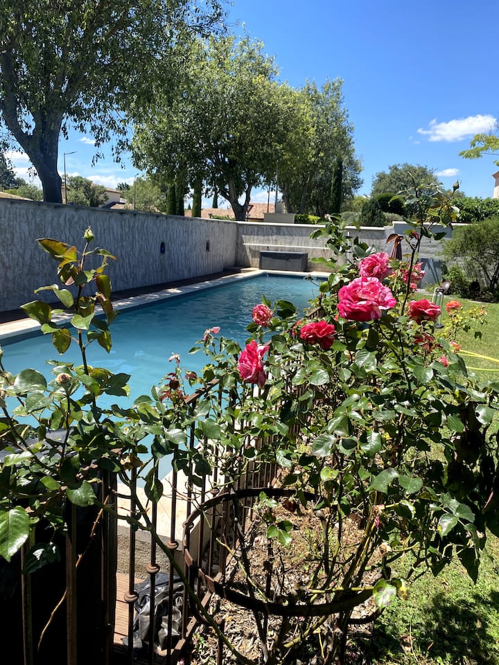 A L'ombre Des Oliviers - L'Isle-sur-la-Sorgue