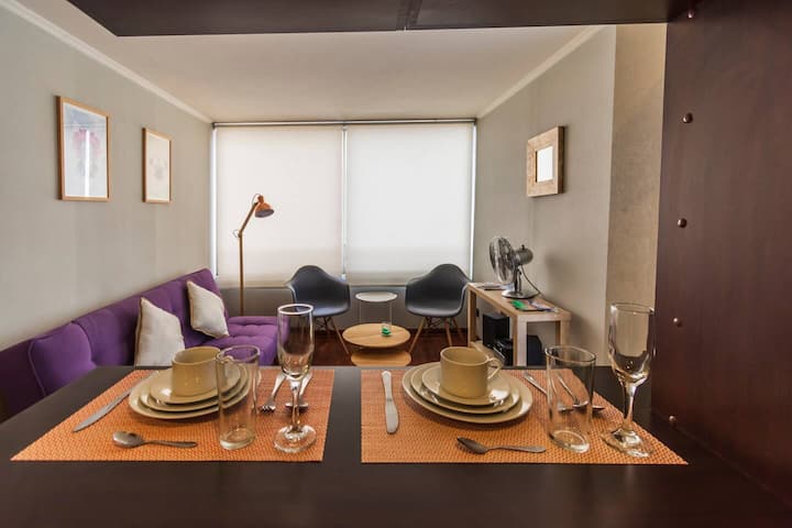 Dpto A Pasos Barrio Bellas Artes - Santiago