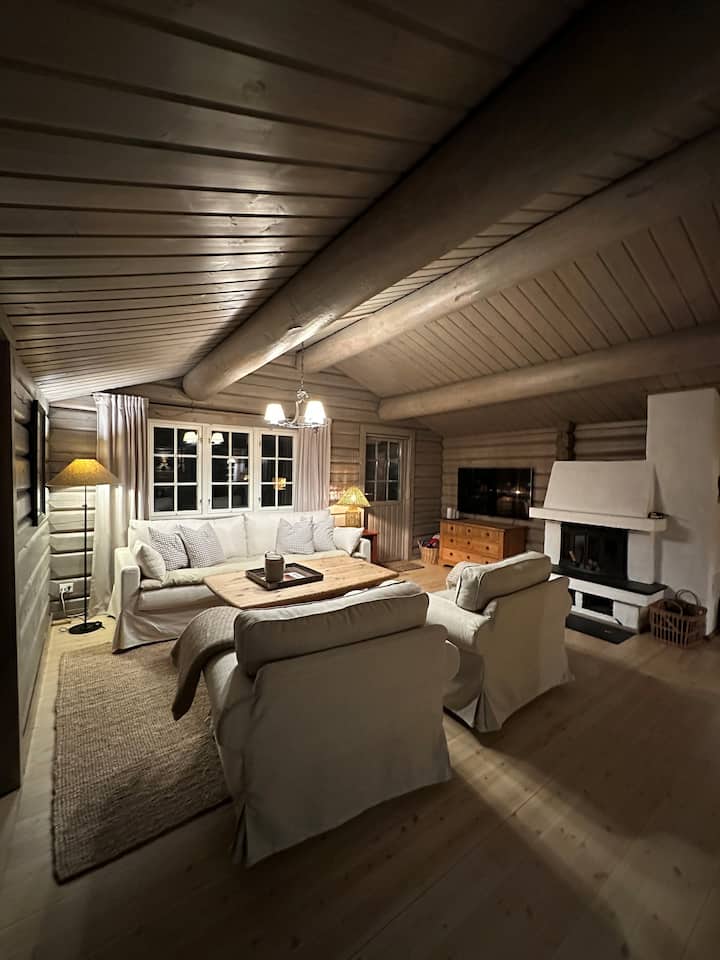 Ski Cabin Trysil, Panoramic View - Norway