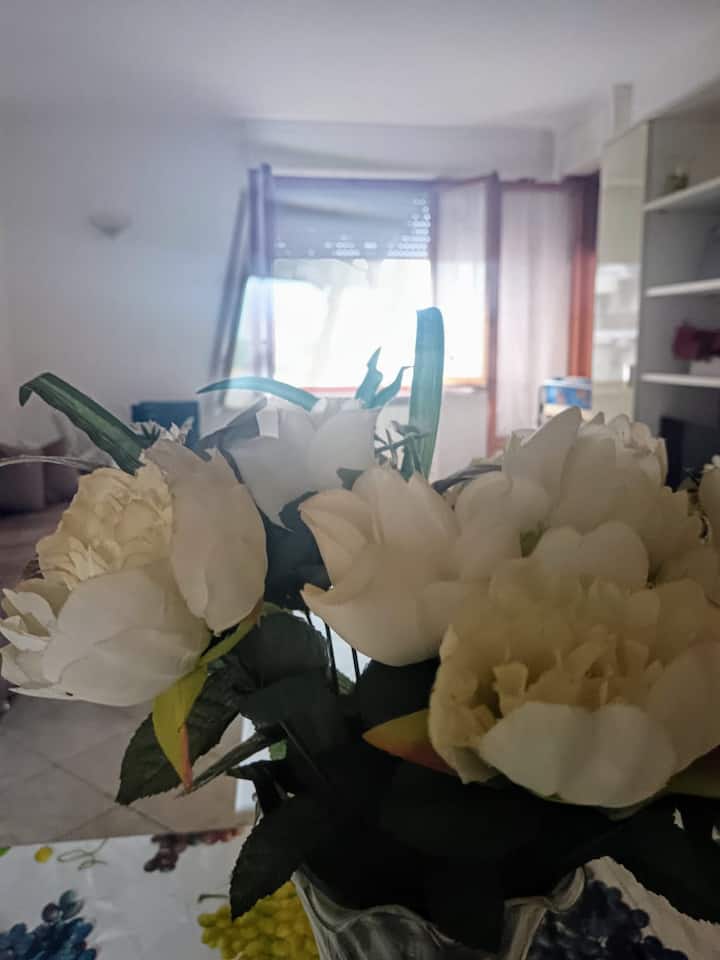 [Appartamento Follonica] - Follonica