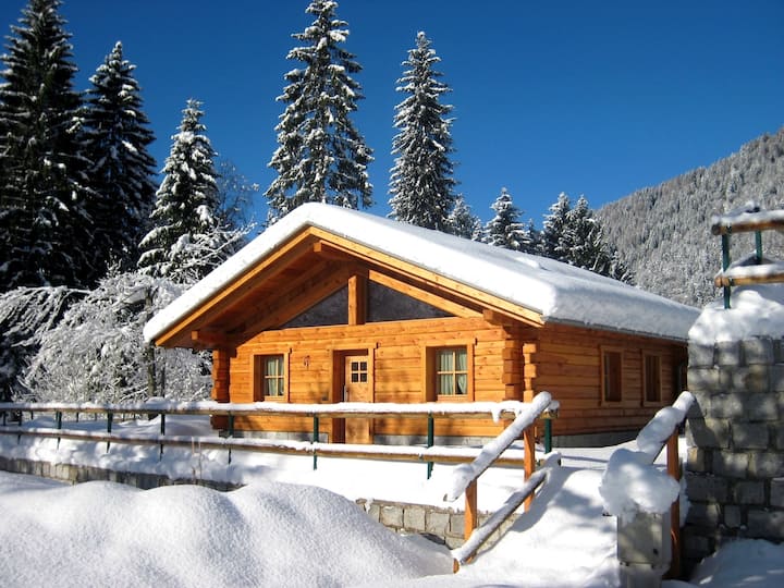 Chalet Panoramic - Pinzolo