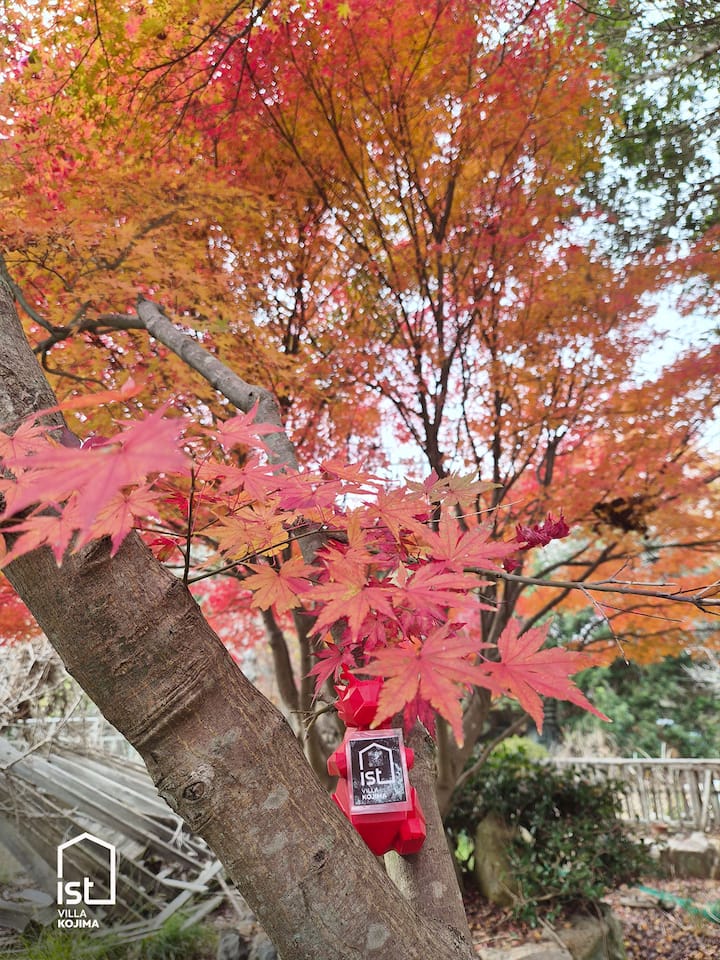 Ist Villa 05: Mountain Hideout, Sleeps 3 - Bizen