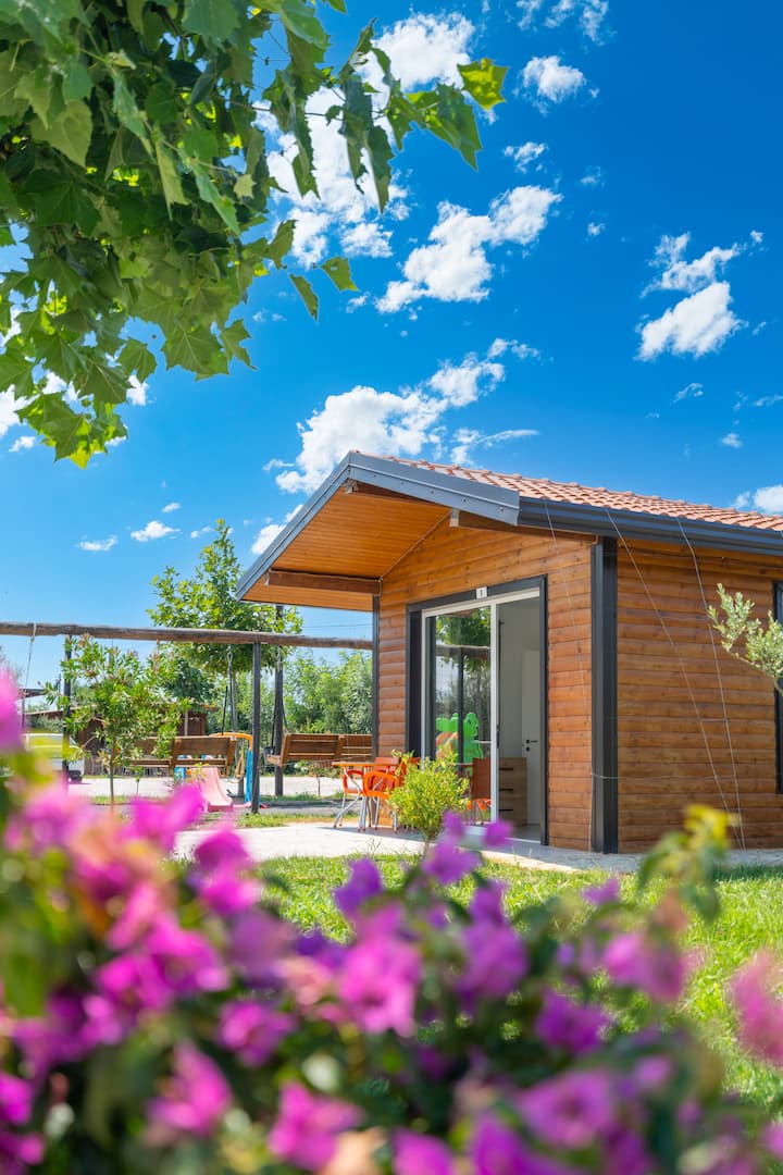 The Nature Of The Island - Albania