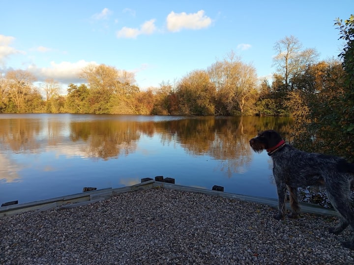 Gîte Chic Au Bord D'un Lac - Ardres
