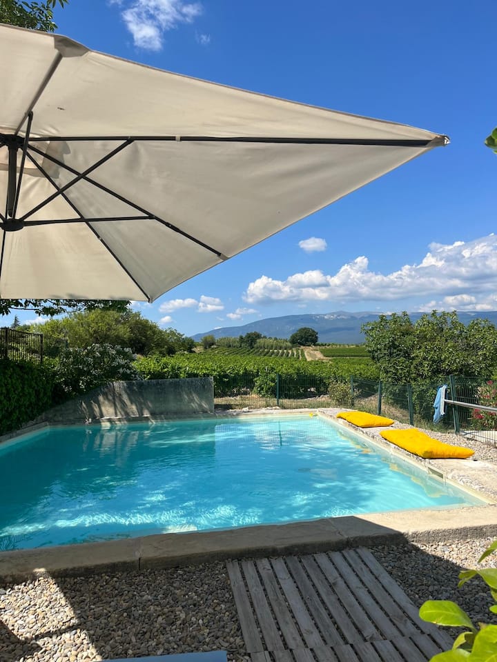 Gîte Dans Un Vignoble Du Mt Ventoux - Venasque