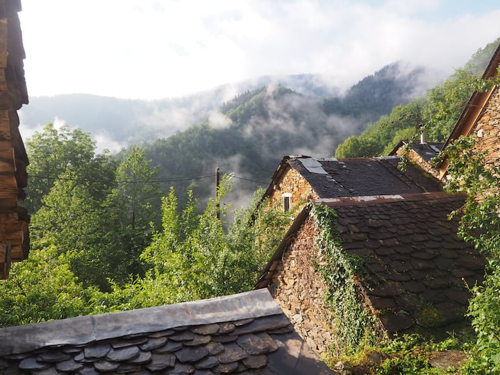 L'agaric, Au Cœur Des Pyrénées. - Pirineos