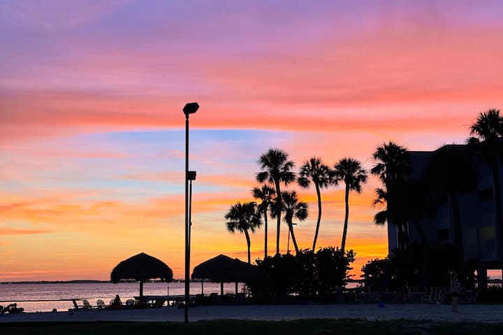 The Starfish Suite 𓇼 Pool & Bay Views - Tampa, FL