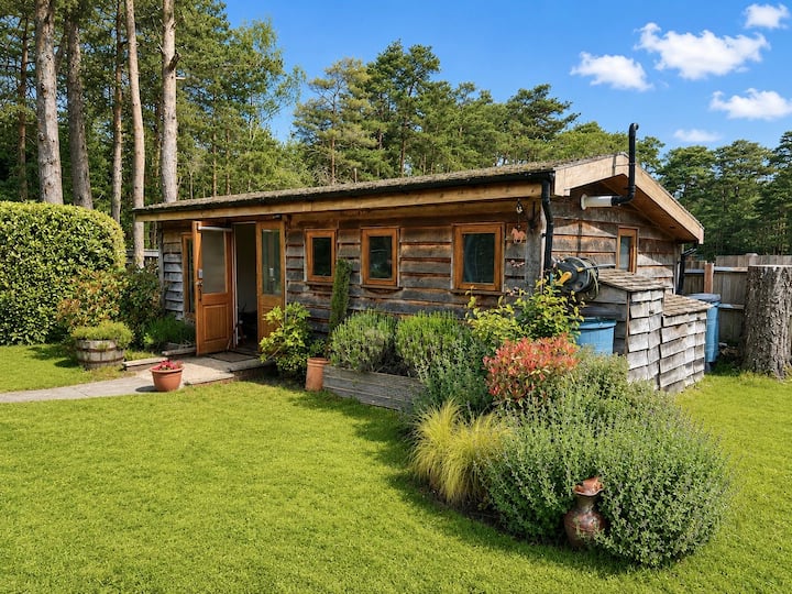 A Peaceful Self-contained Woodland Cabin - Hampshire