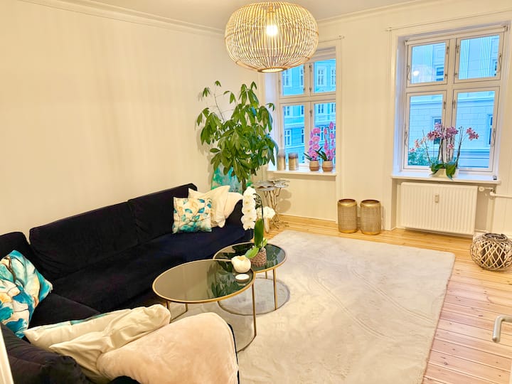 Hyggelig Og Lys Lejlighed - Copenhague