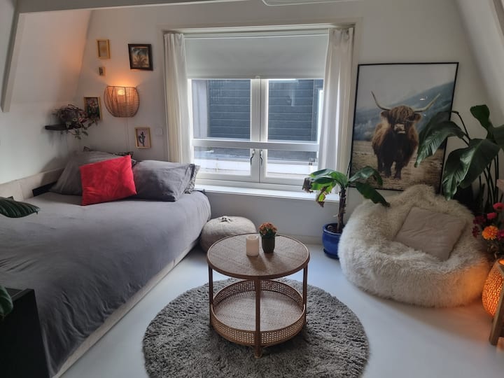 Studio Near Vondelpark - Amsterdam