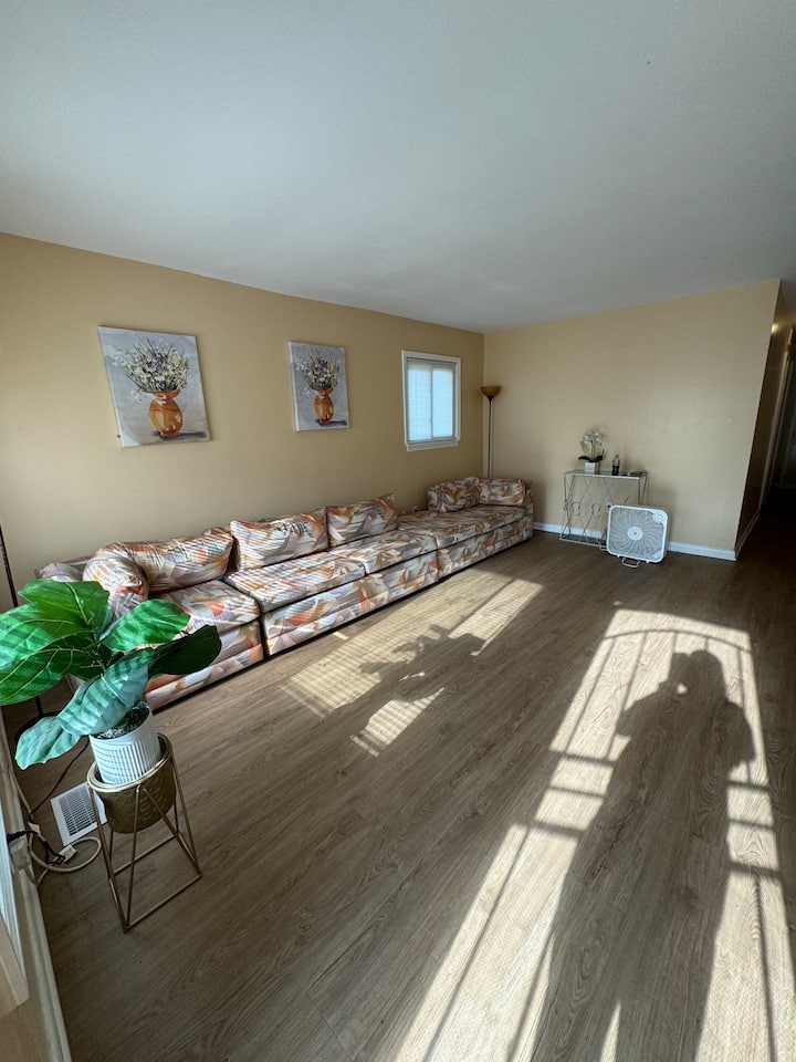 Free Wi-fi 420 Friendly Pets Ok - Detroit