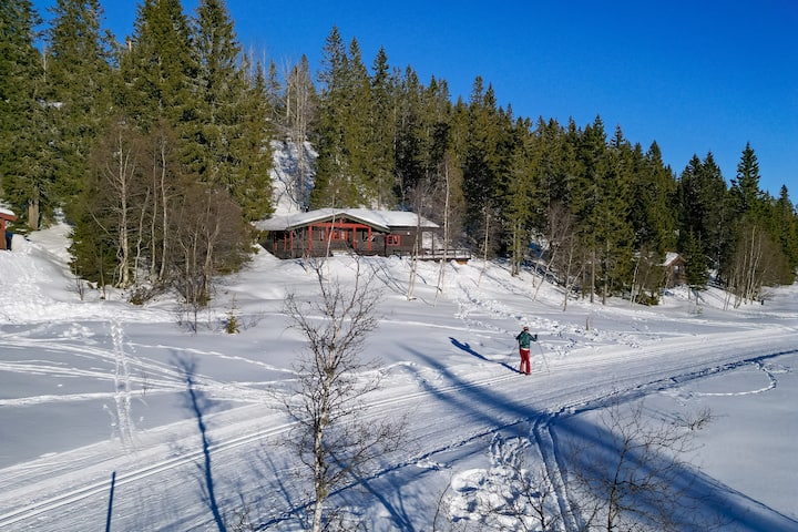 Familiehytte Med Stor Hems - Norvège