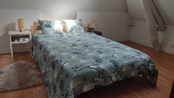 Chambre D'hôte Au Bord Du Loiret - Olivet