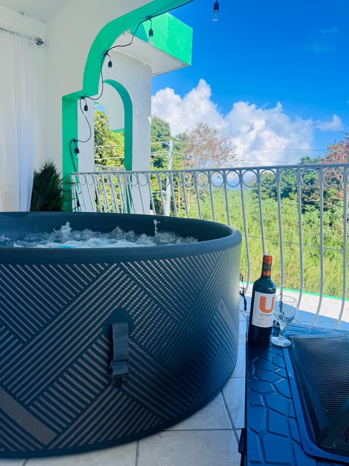 Colibrí En La Cuesta - Vega Alta