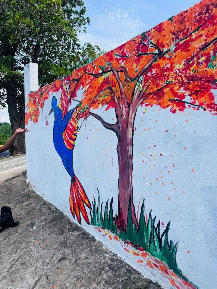 Colibrí En La Cuesta - Vega Baja