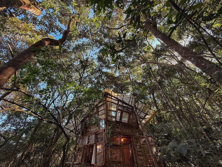 Casa De Bambu Na Floresta · Arquitetura Viva - Ouro Preto