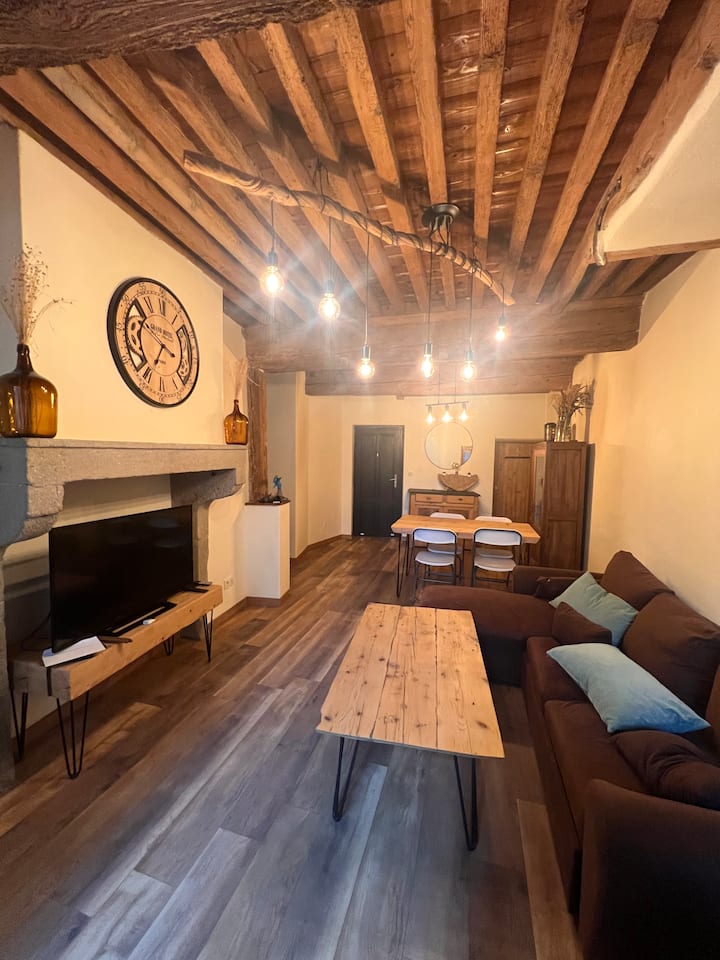 Appartement 6 Personnes Et Plus Avec Terrasse - Montbrison