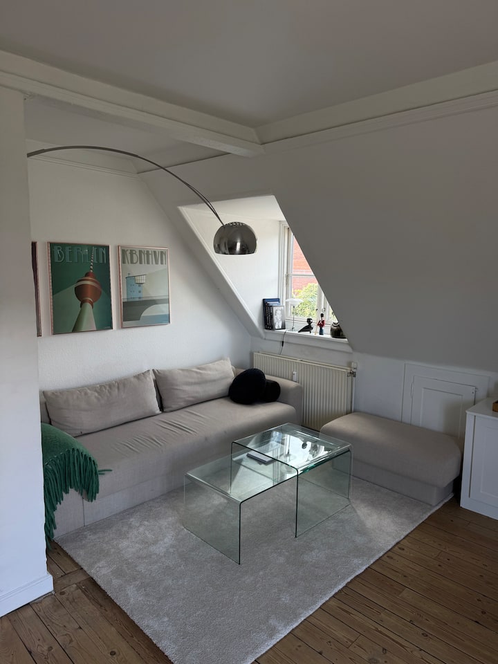 Central And Spacious Apartment In Copenhagen - Kopenhag