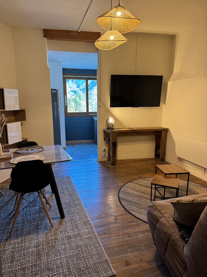 Appartement Chaleureux - Veynes