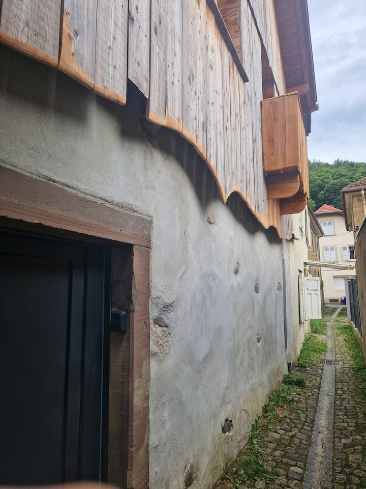 Cabane En Bois Au Fond Du Jardin - Thann