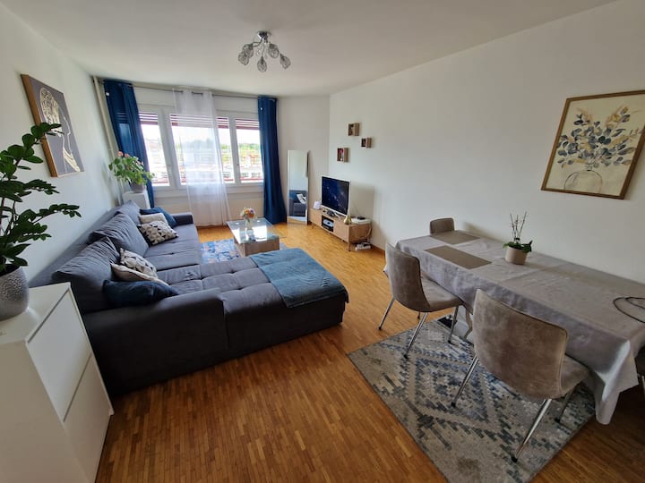 Bel Appartement Au Cœur Genève. - Ginebra