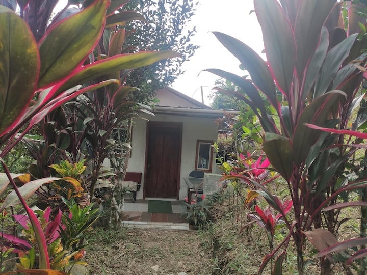 Little House In The Rainy Forest (Pet Friendly) - Pedro Vicente Maldonado