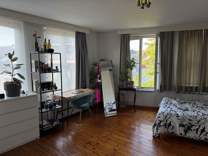 Bright Flat Near Eu Parliament - Uccle