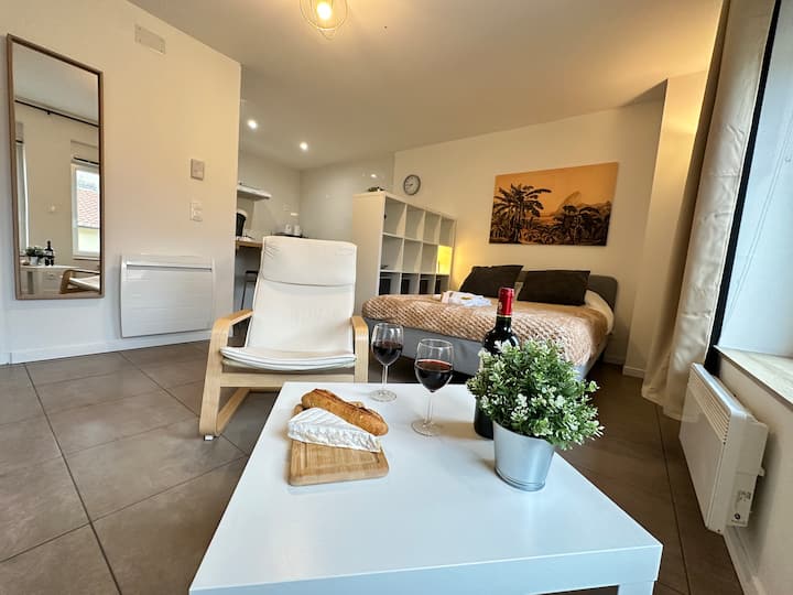 M 104 Studio Palm Nest Cosy Et Calme Proche Metz - ibis budget Metz Sud