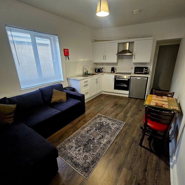 Cosy City Apartment - Derry