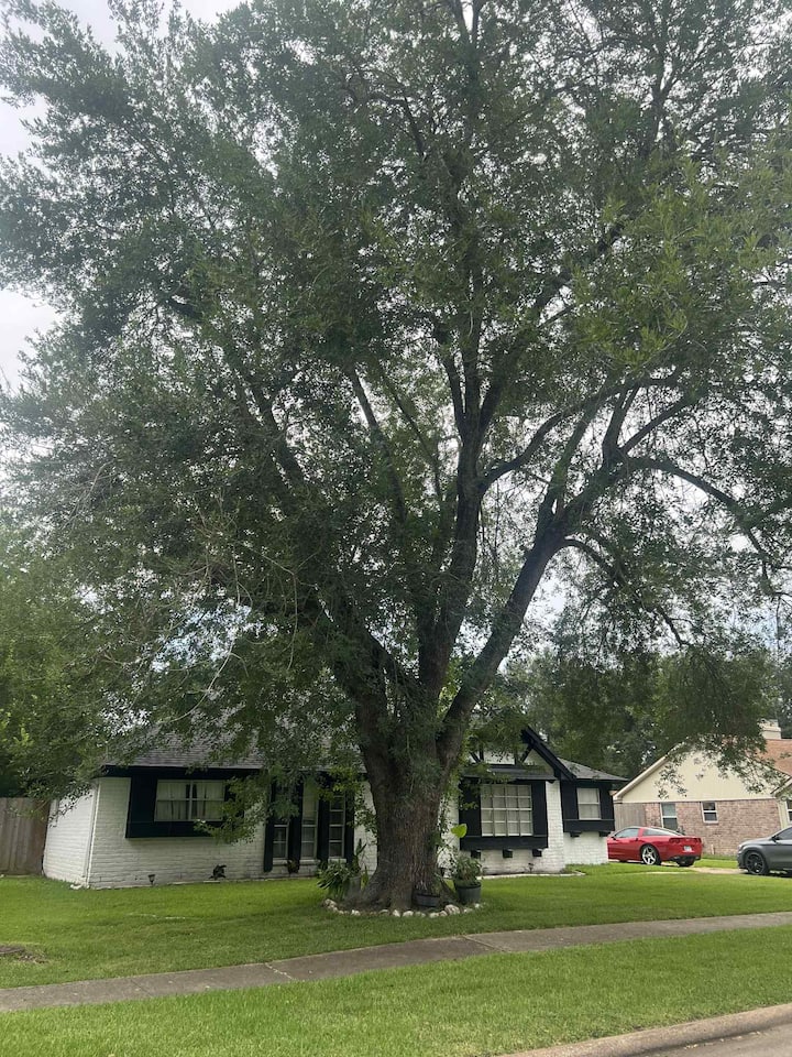 Nasa Nearby, 3br Home With Private Pool And Grill - League City, TX