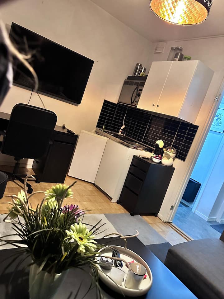 Studio/office Near Sthlm City Center,wc(no Sh0wer) - Estocolmo