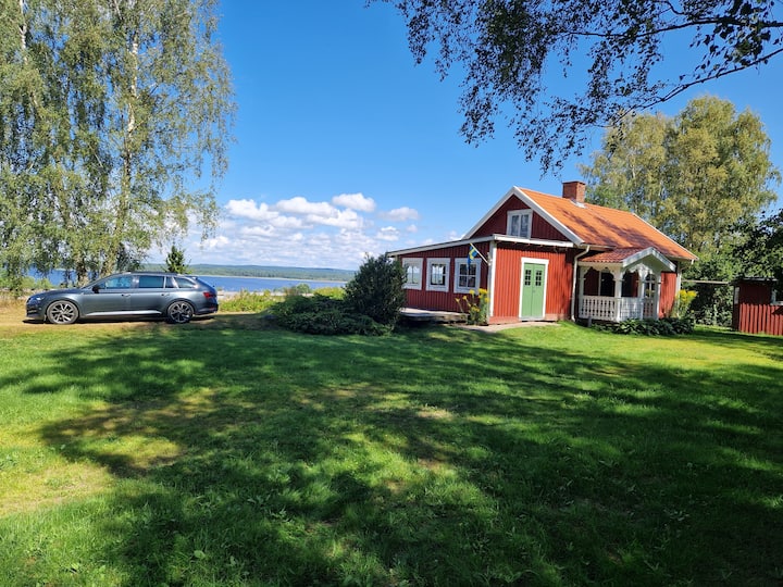 Blåklockan - Hjo